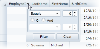 Filtering Columns | ComponentOne DataGrid for WPF and Silverlight