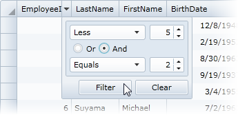 Filtering Columns | ComponentOne DataGrid for WPF and Silverlight