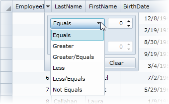 Filtering Columns | ComponentOne DataGrid for WPF and Silverlight